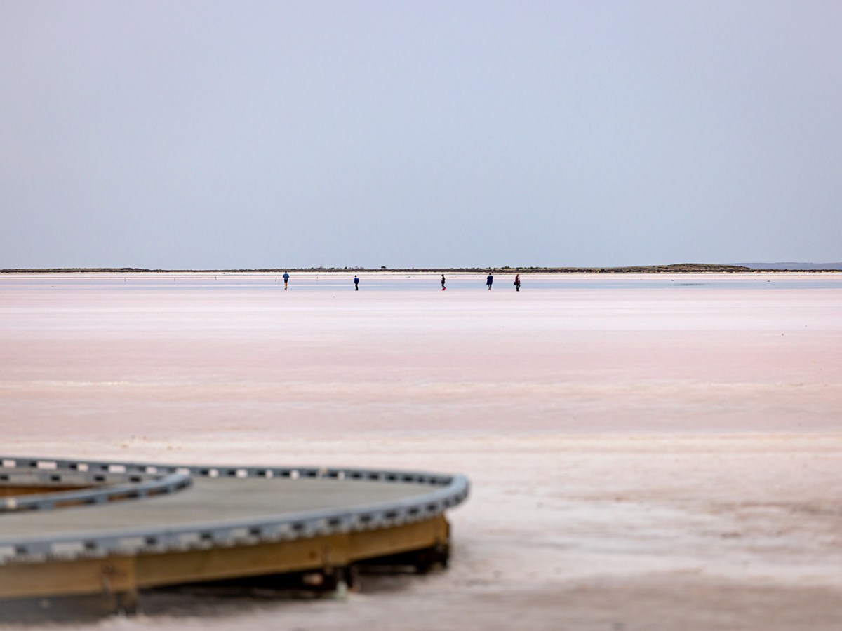 ngaire naran – photographer – prounounced ni-ree